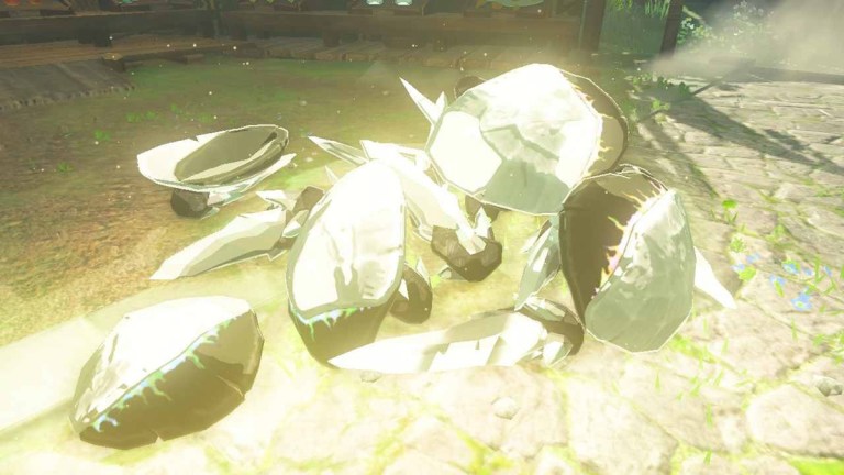 Zelda: Tears of the Kingdom — How to Duplicate Materials for Infinite Money in TotK – GameSkinny