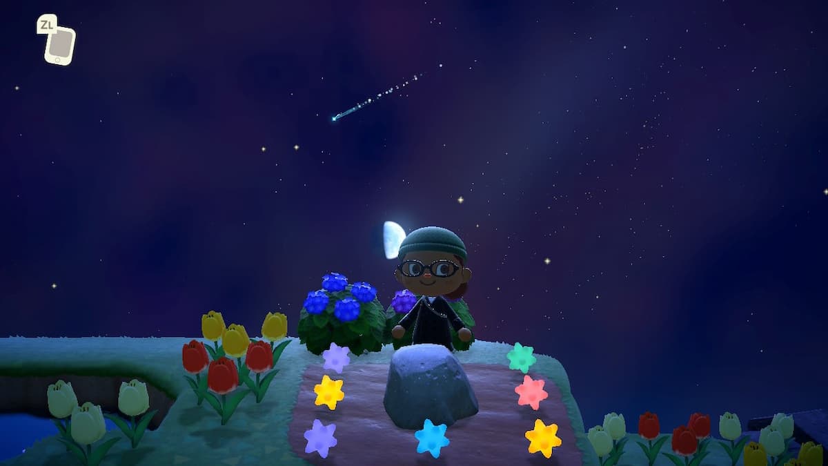 How to Get Star Fragments in Animal Crossing: New Horizons – GameSkinny