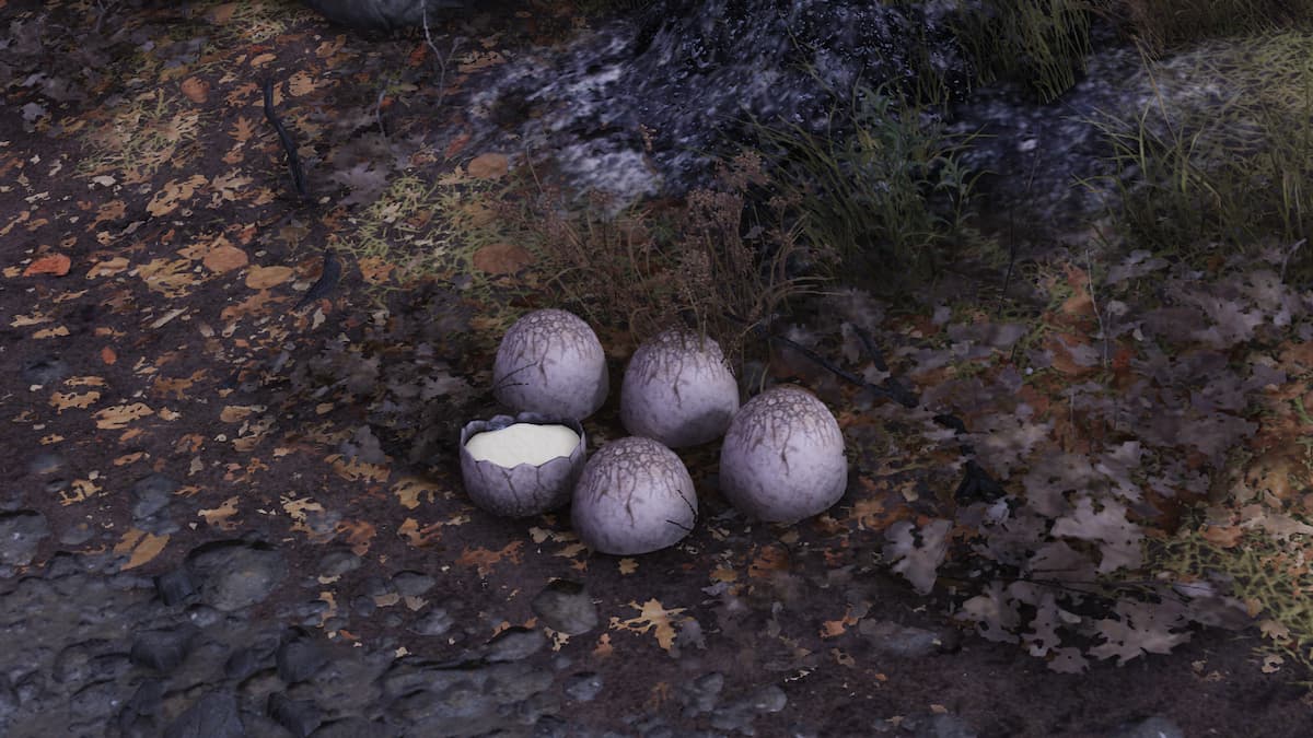 Fallout 76: Where to Find Mirelurk Eggs – GameSkinny