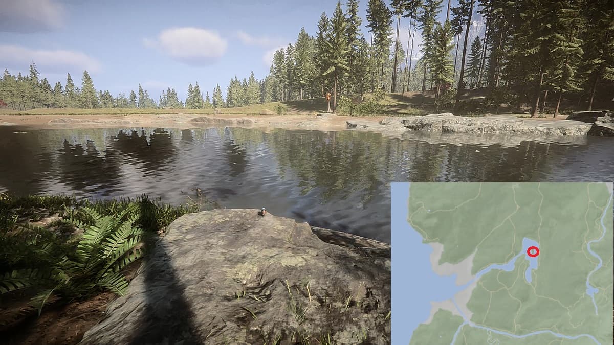 Sons of the Forest: Best Base Locations – GameSkinny