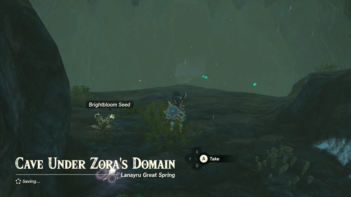 Zelda: Tears of the Kingdom (TotK) — Secret Treasure Under the Great ...