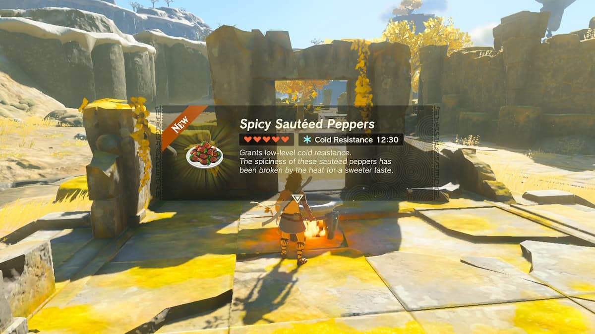 Zelda: Tears of the Kingdom — How to Cook Food in TotK – GameSkinny