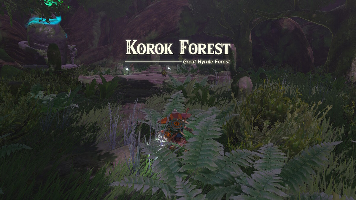 Zelda: Tears of the Kingdom — How to Get to Korok Forest in TotK ...