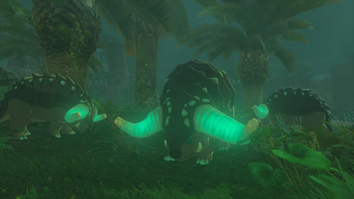 Zelda: Tears of the Kingdom (TotK) — Beast and the Princess Side Quest ...