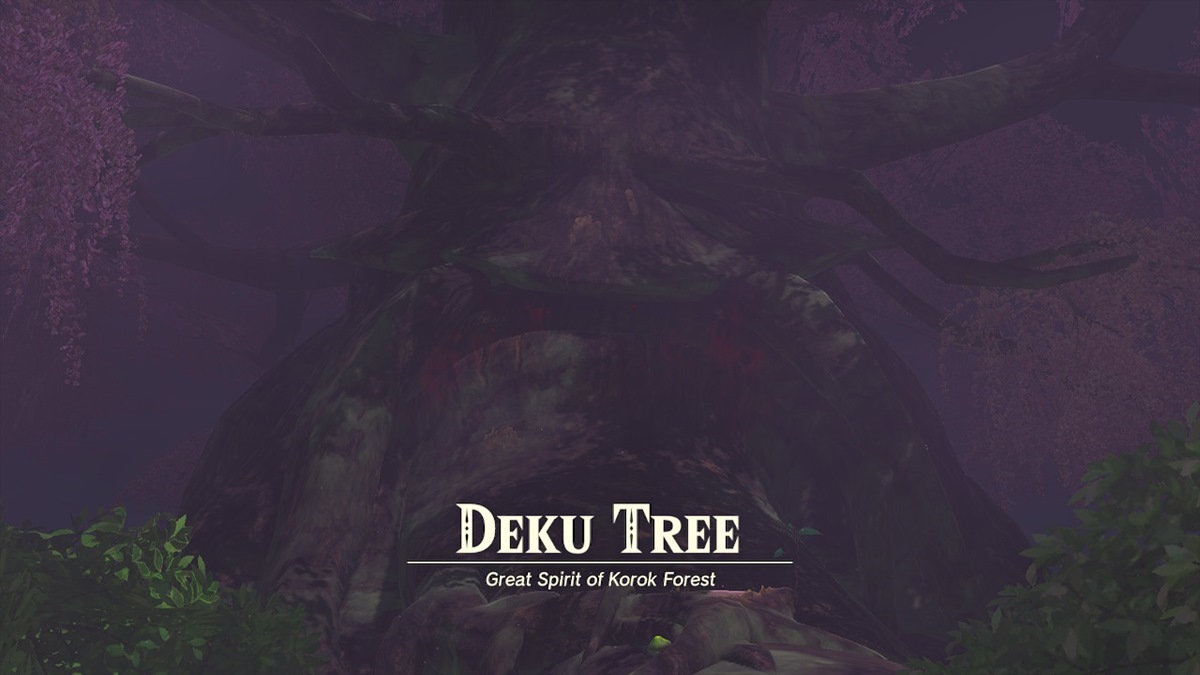 The 12 Best Side Quests to do in Zelda: Tears of the Kingdom (TotK ...