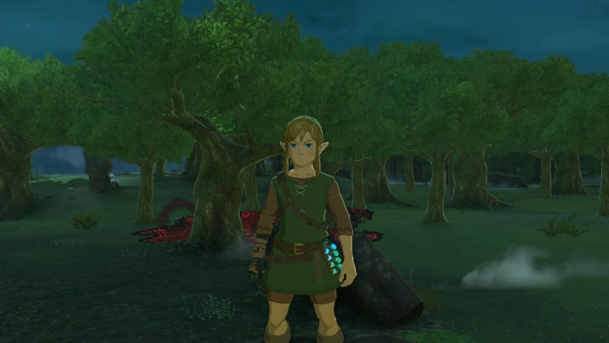 Zelda: Tears of the Kingdom (TotK) — How to Get Hero of the Wild Set ...