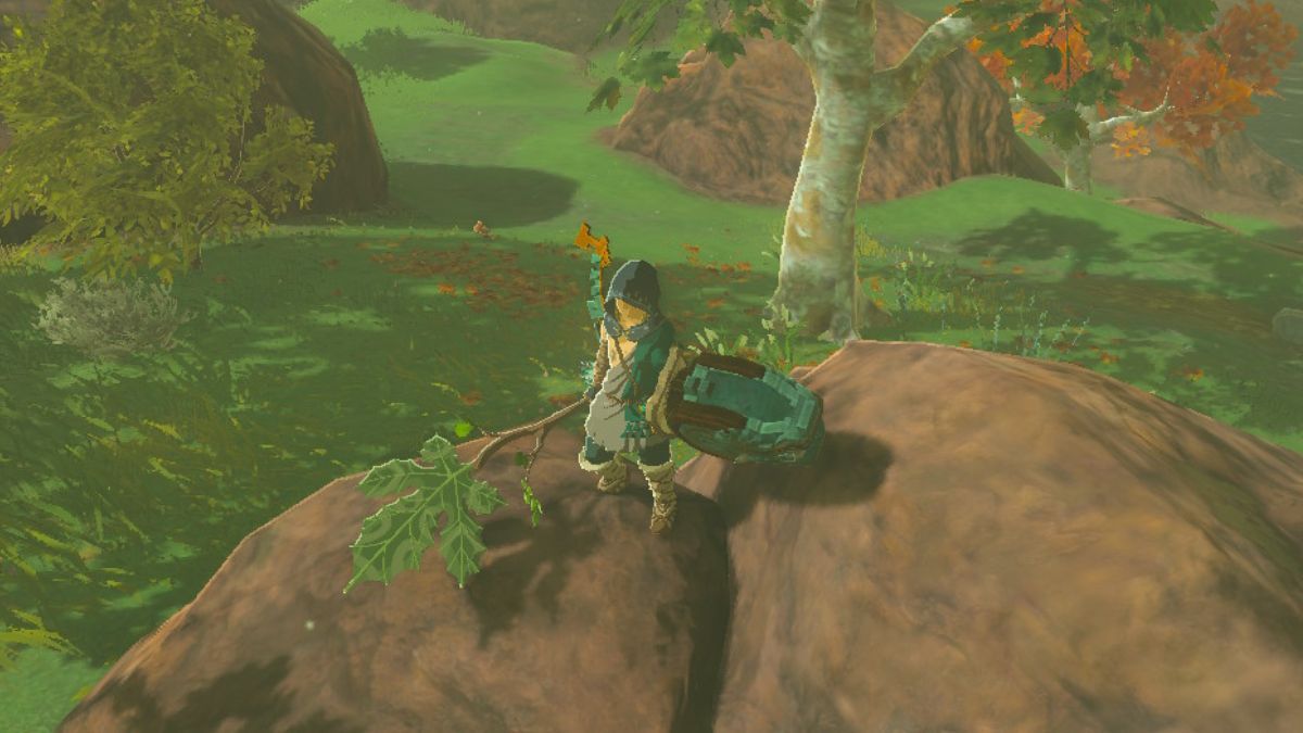 Zelda: Tears of the Kingdom — How to Make Korok Fans in TotK – GameSkinny