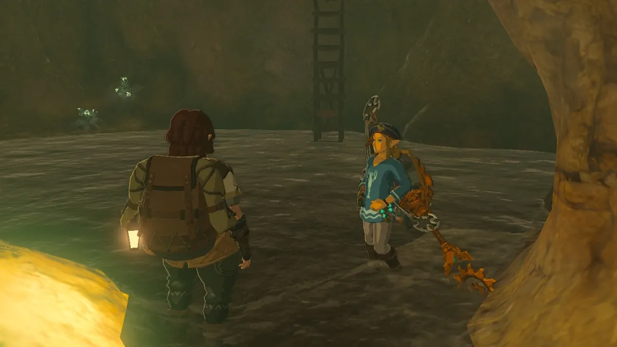 Zelda: Tears of the Kingdom (TotK) — Lost in the Dunes Side Quest Guide ...