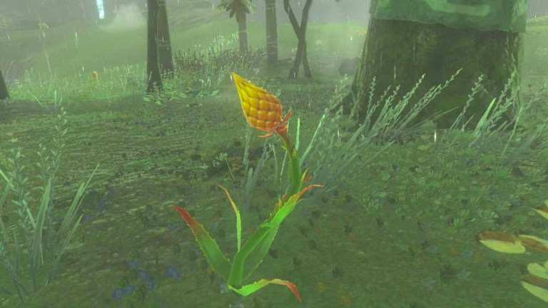 Zelda: Tears of the Kingdom — Where to Get Mighty Thistle in TotK ...