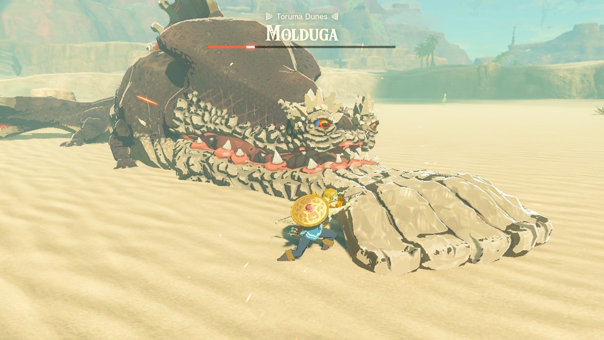 Zelda: Tears of the Kingdom — How to Beat Molduga in TotK – GameSkinny