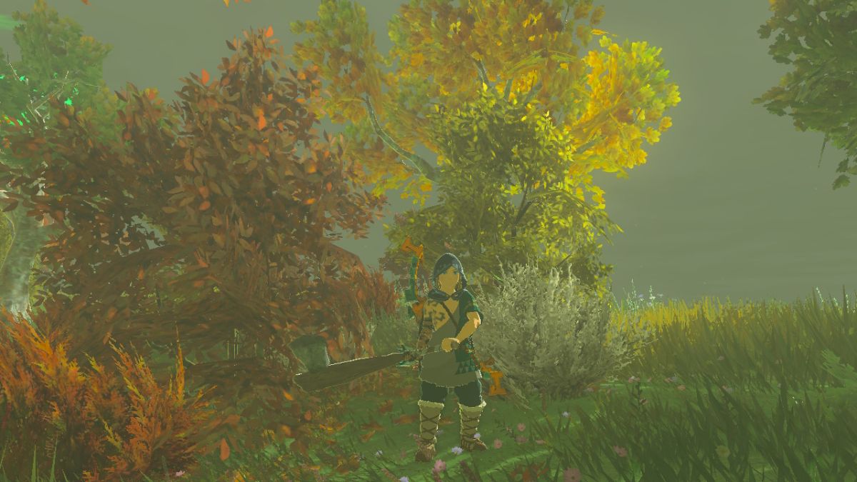 Zelda: Tears of the Kingdom — How to Make Korok Fans in TotK – GameSkinny