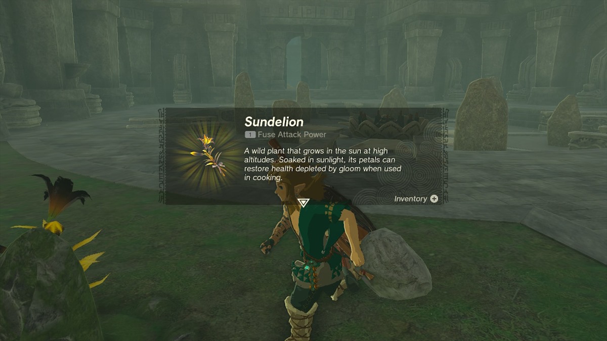 Zelda: Tears of the Kingdom — Where to Find Sundelion in TotK – GameSkinny
