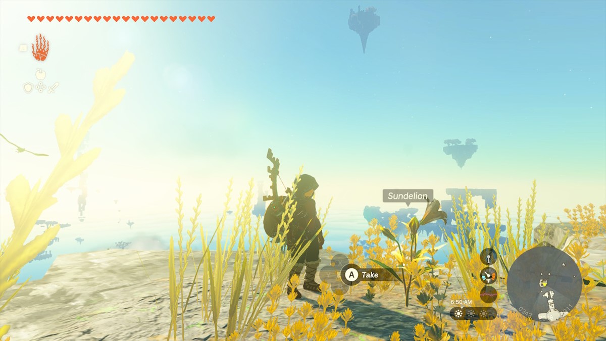 Zelda: Tears of the Kingdom — Where to Find Sundelion in TotK – GameSkinny