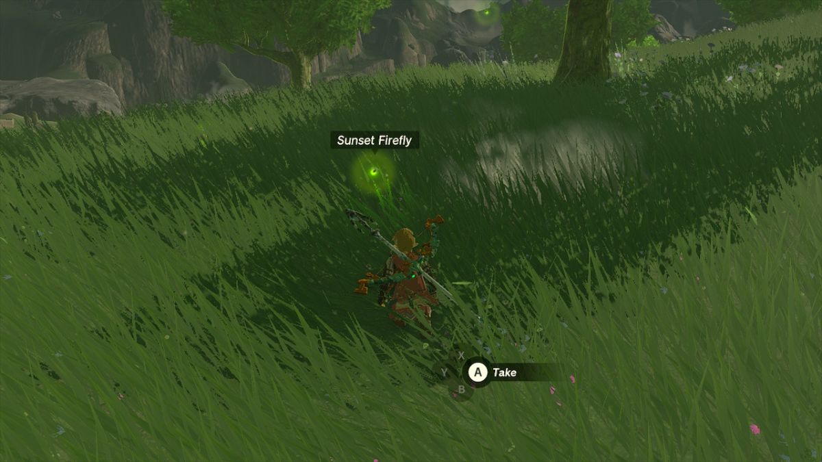 Zelda: Tears of the Kingdom — How to Get Sunset Fireflies in TotK ...