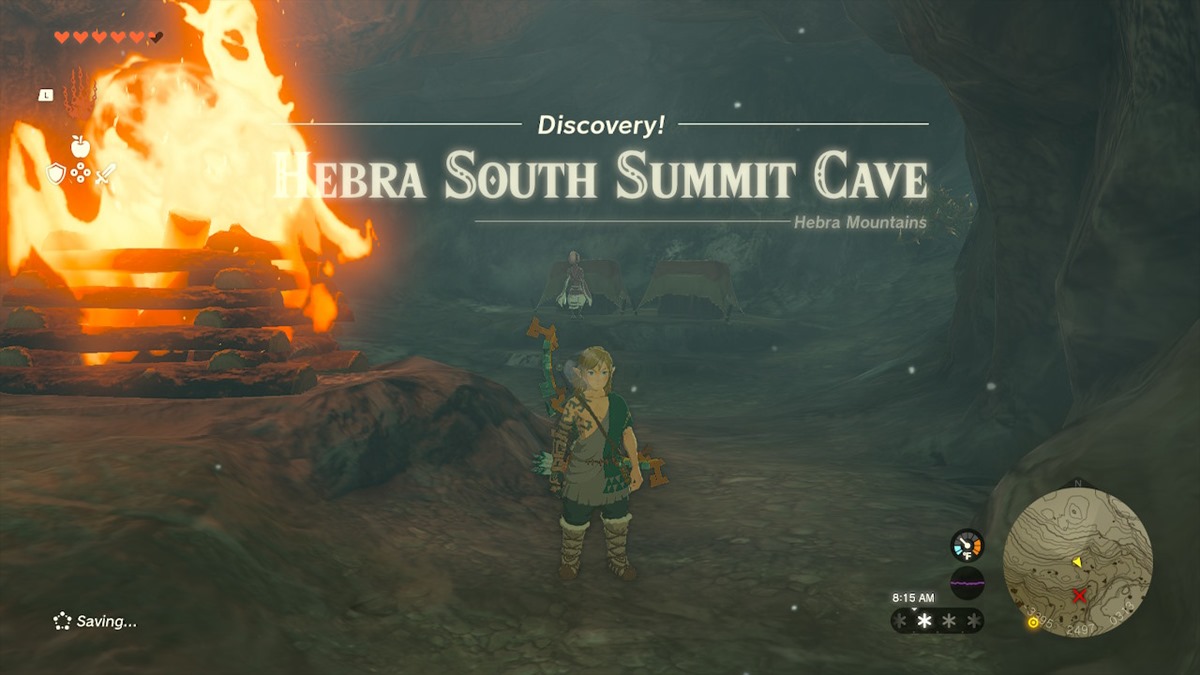 Zelda: Tears of the Kingdom — Where to Find Tulin in TotK – GameSkinny