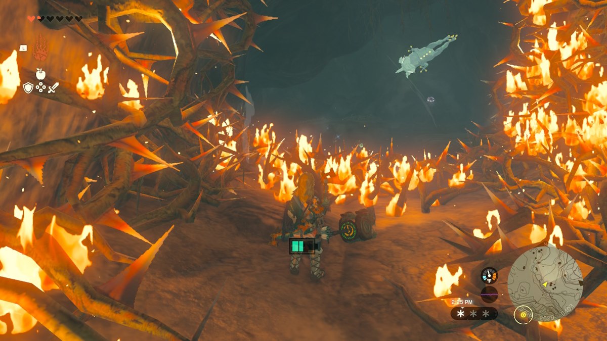 Zelda: Tears of the Kingdom — Where to Find Tulin in TotK – GameSkinny