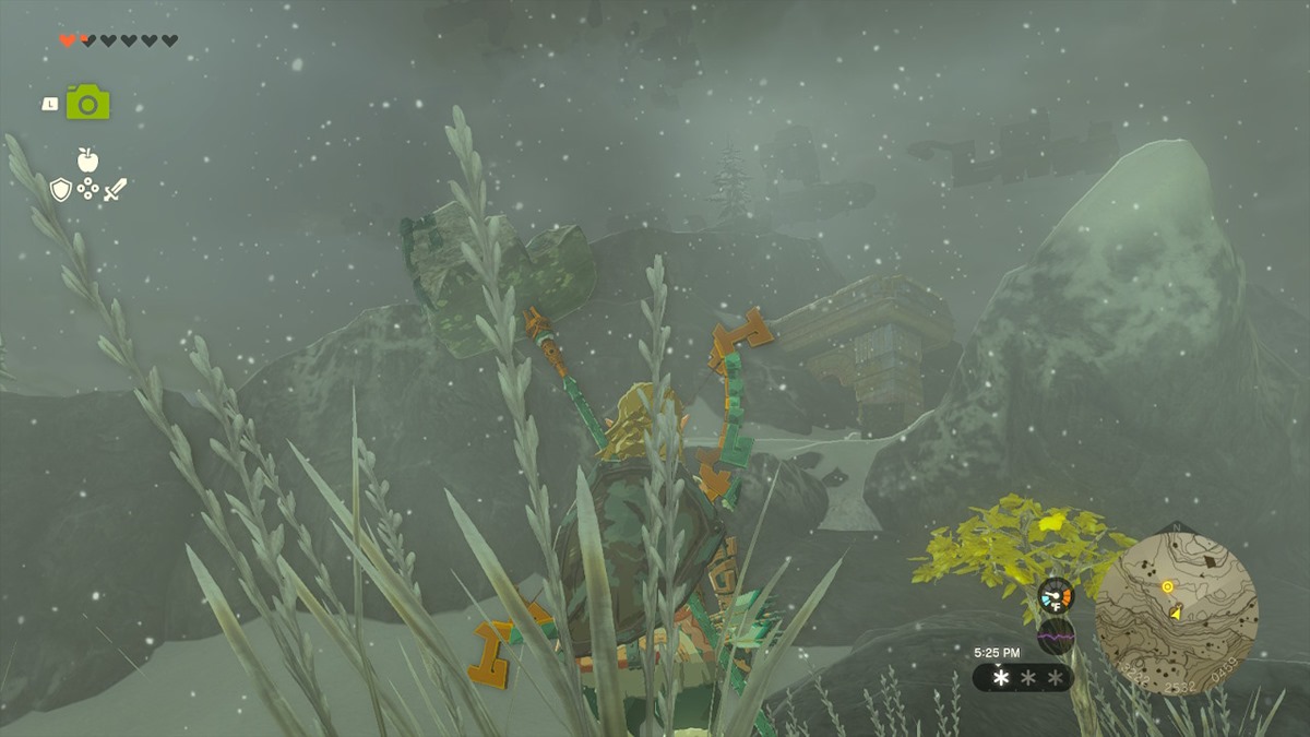 Zelda: Tears of the Kingdom — Where to Find Tulin in TotK – GameSkinny