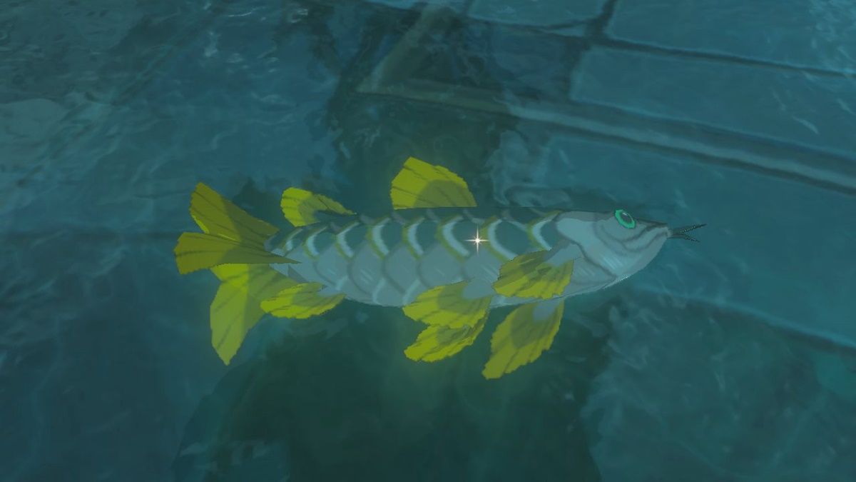 Zelda: Tears of the Kingdom — How to Get Zora Armor Set in TotK ...