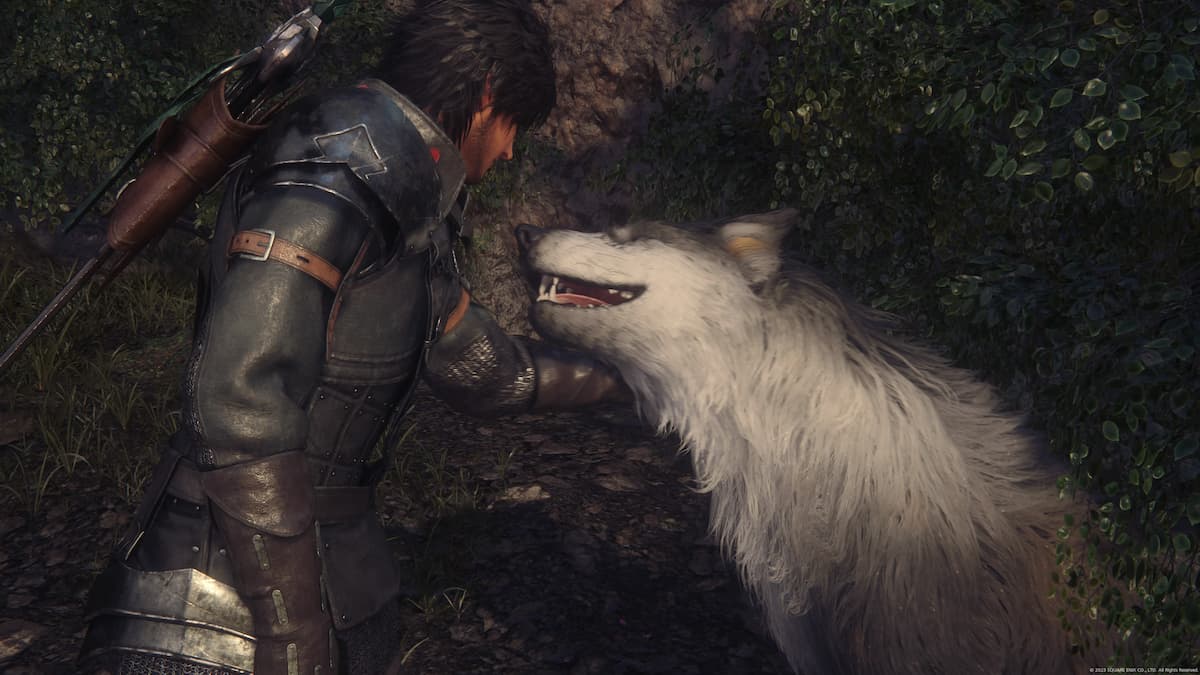 Final Fantasy 16: How to Pet Torgal – GameSkinny