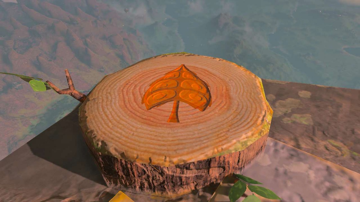 Zelda: Tears of the Kingdom — All Central Hyrule Sky Korok Seed ...