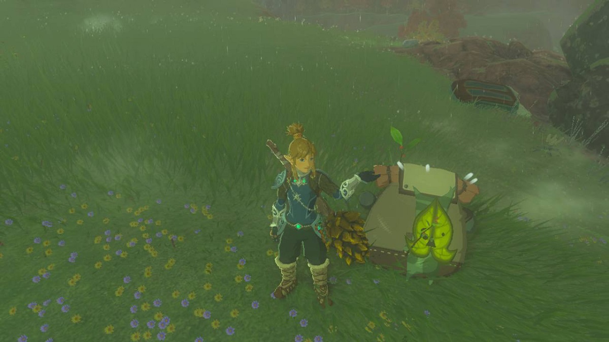 Zelda: Tears of the Kingdom – All Akkala Korok Seed Locations – GameSkinny