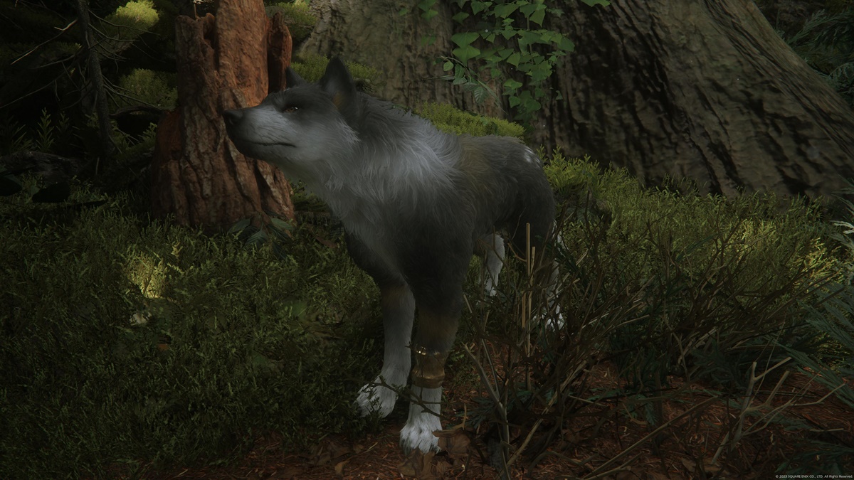 Final Fantasy 16: How to Get and Use Torgal the Dog – GameSkinny