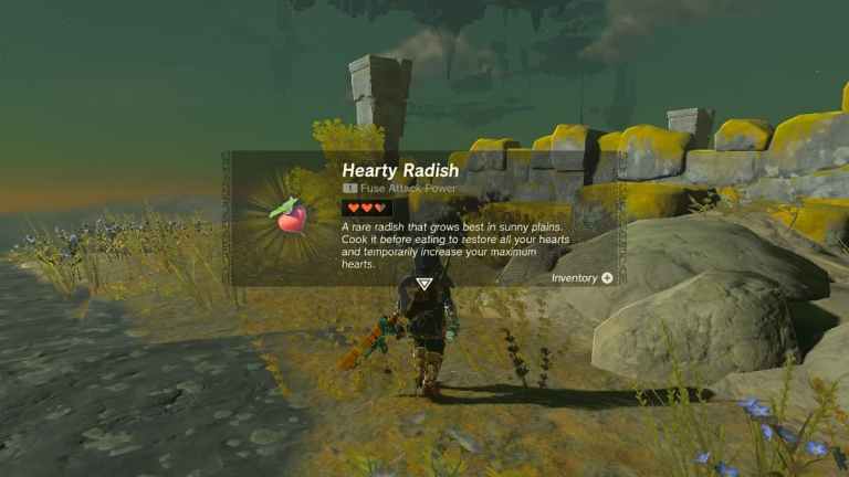 Zelda: Tears of the Kingdom — How to Get Hearty Radish – GameSkinny