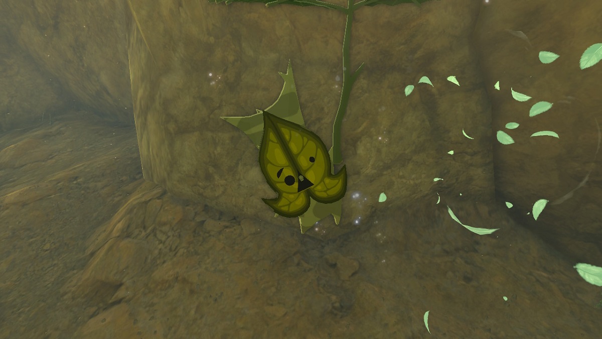 Zelda: Tears of the Kingdom – All Tabantha Frontier Seed Locations ...