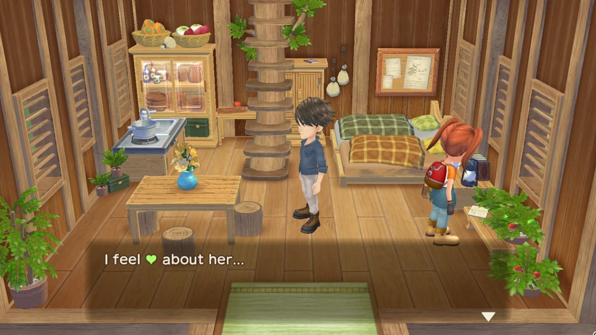 How to Marry Matthew in Story of Seasons: A Wonderful Life – GameSkinny