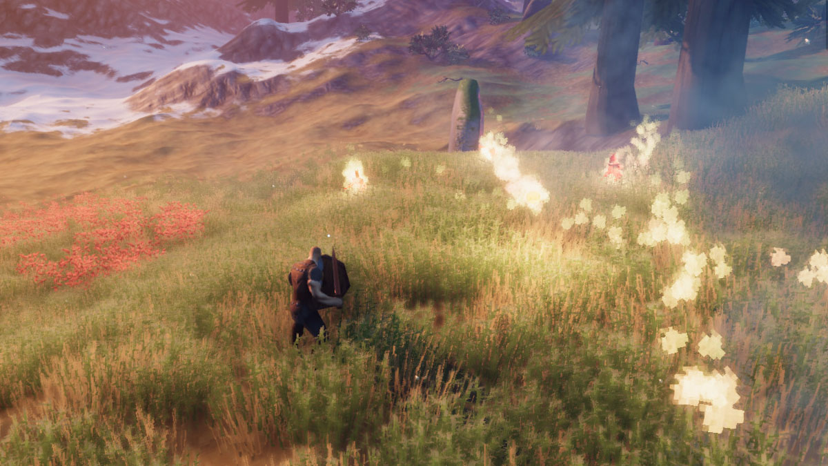 Top 10 Best Valheim Seeds 2023 – GameSkinny