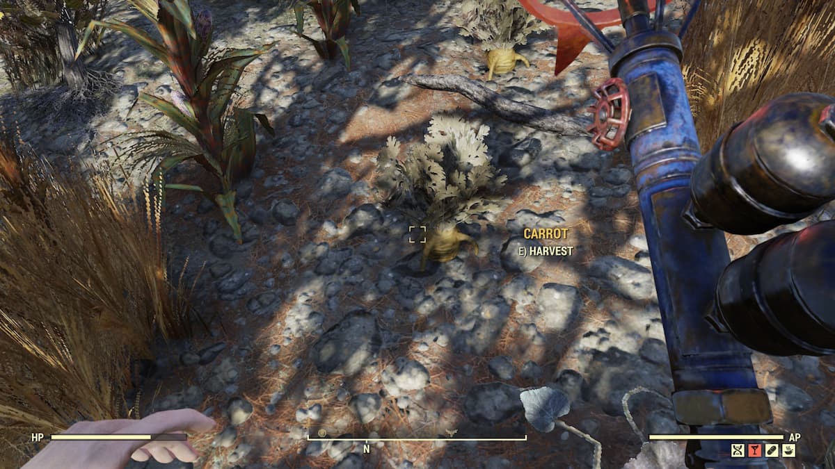 Fallout 76 Fruits and Vegetables Foraging Guide – GameSkinny