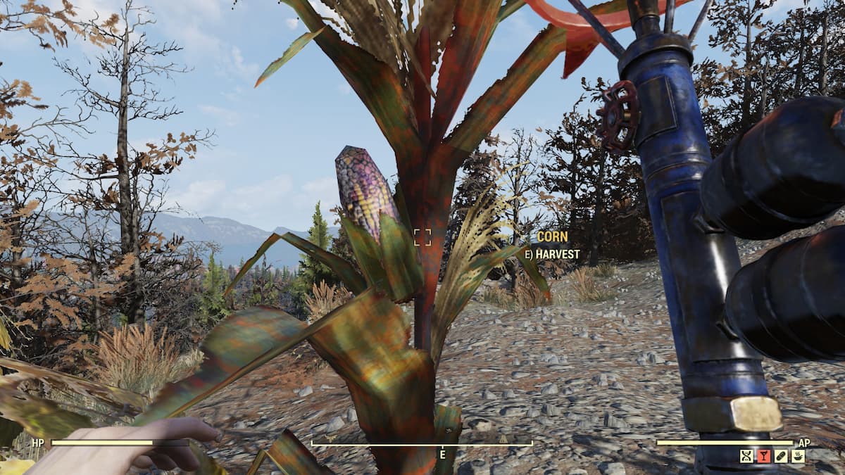 Fallout 76 Fruits and Vegetables Foraging Guide – GameSkinny