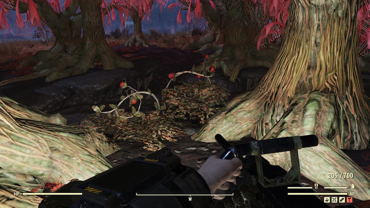 Fallout 76 Fruits and Vegetables Foraging Guide – GameSkinny