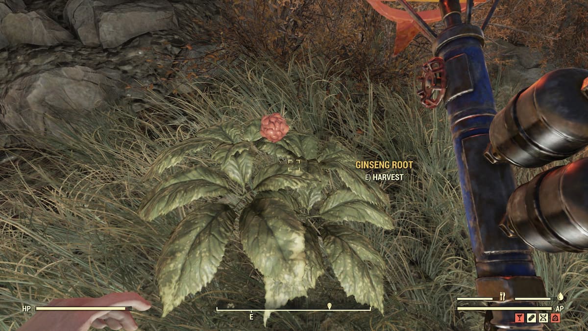 Fallout 76 Fruits and Vegetables Foraging Guide – GameSkinny