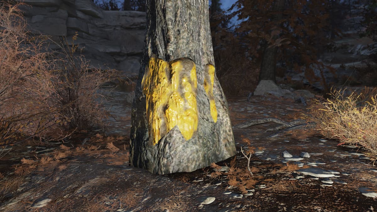 Fallout 76 Foraging Guide: Fungi and Goo – GameSkinny