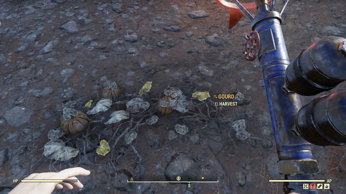 Fallout 76 Fruits and Vegetables Foraging Guide – GameSkinny