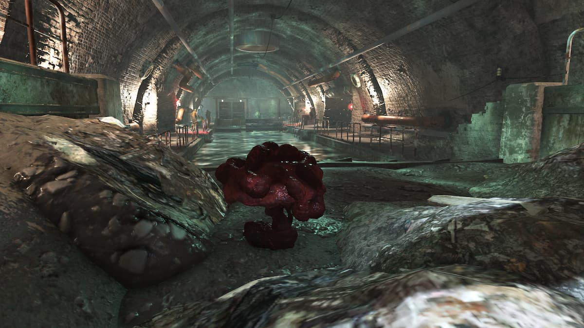 Fallout 76 Foraging Guide: Fungi and Goo – GameSkinny