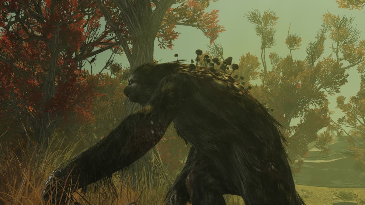 Fallout 76 Foraging Guide: Fungi and Goo – GameSkinny