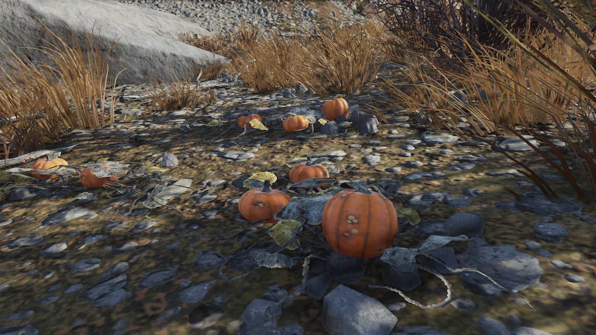 Fallout 76 Fruits and Vegetables Foraging Guide – GameSkinny