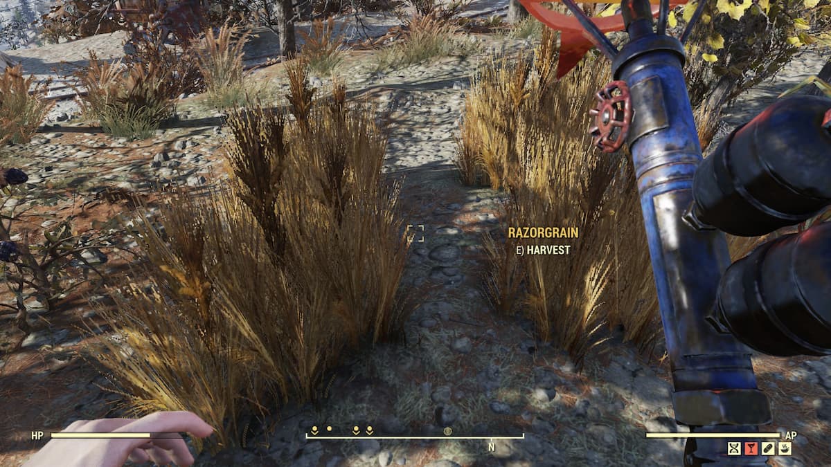 Fallout 76 Fruits and Vegetables Foraging Guide – GameSkinny