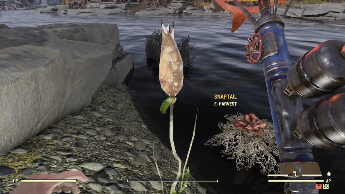Fallout 76 Fruits and Vegetables Foraging Guide – GameSkinny