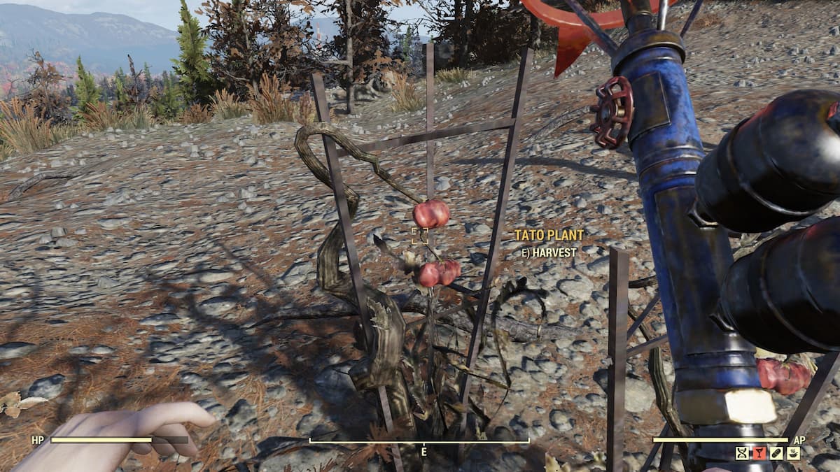 Fallout 76 Fruits and Vegetables Foraging Guide – GameSkinny