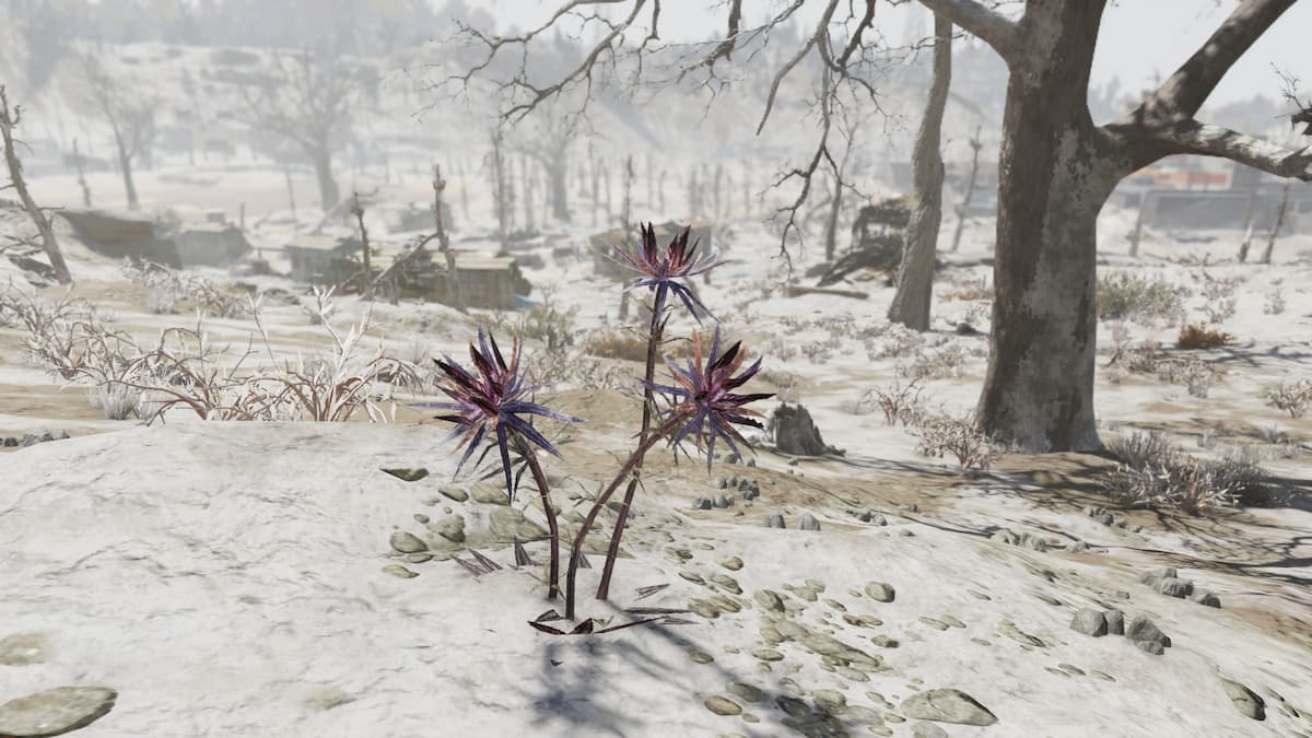 Fallout 76: How to Craft Disease Cure – GameSkinny