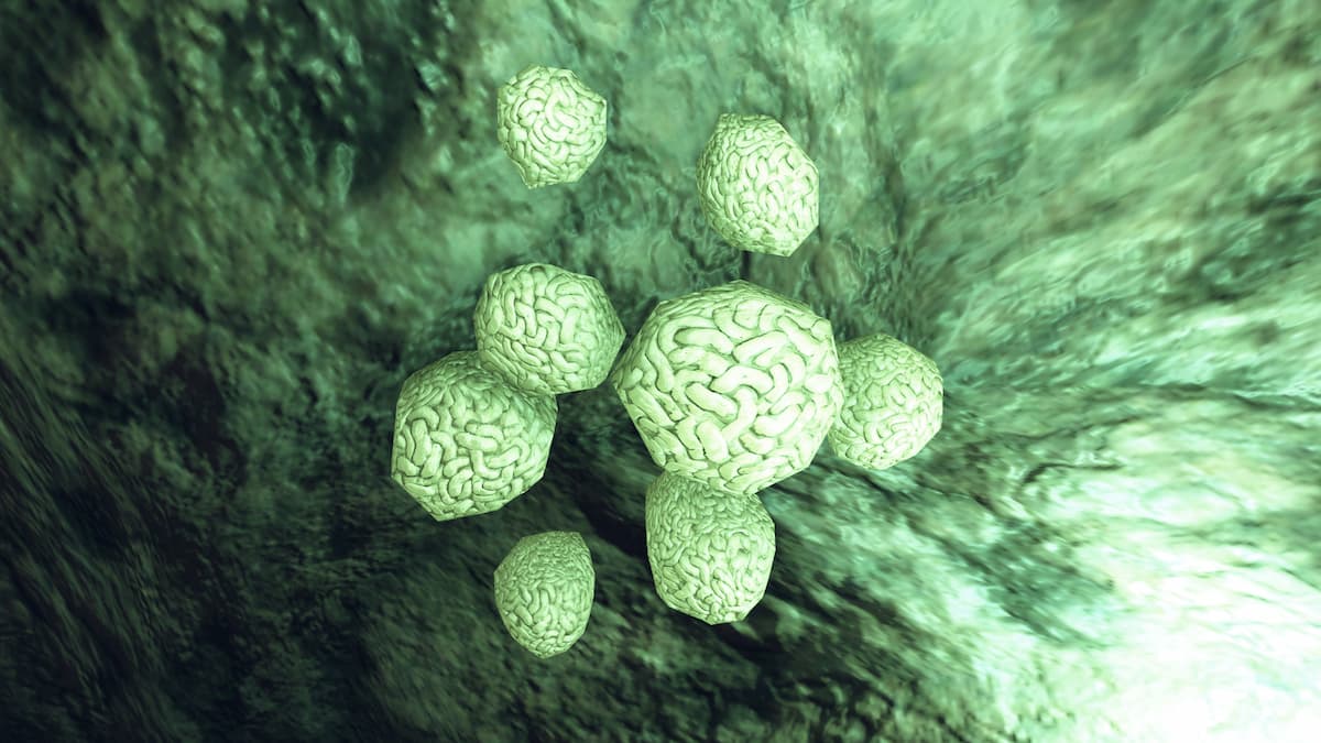 Fallout 76 Foraging Guide: Fungi and Goo – GameSkinny