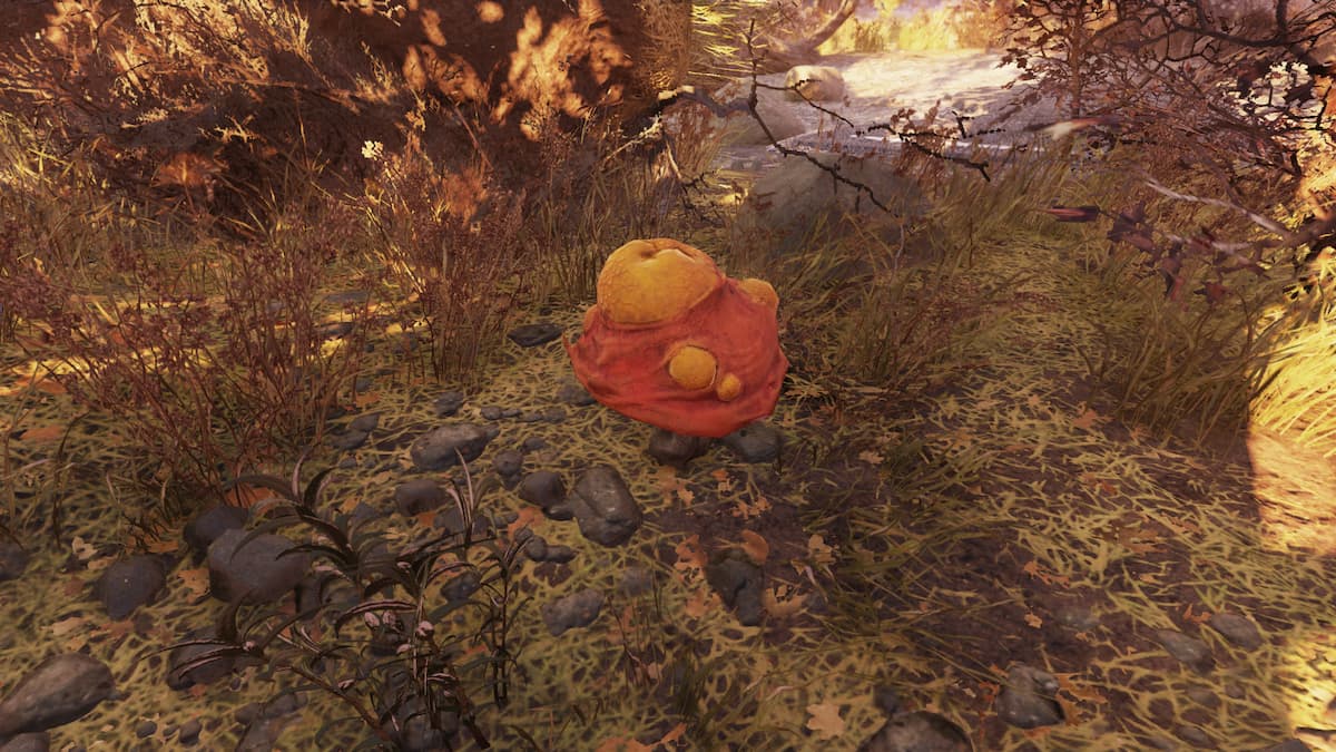 Fallout 76 Foraging Guide: Fungi and Goo – GameSkinny