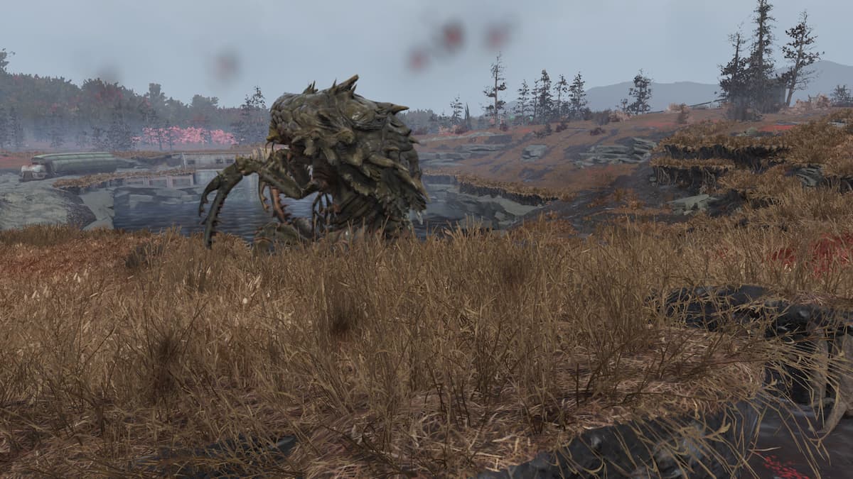 Where to Find Mirelurk Queen in Fallout 76 – GameSkinny