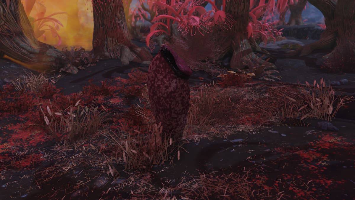 Fallout 76 Foraging Guide: Fungi and Goo – GameSkinny