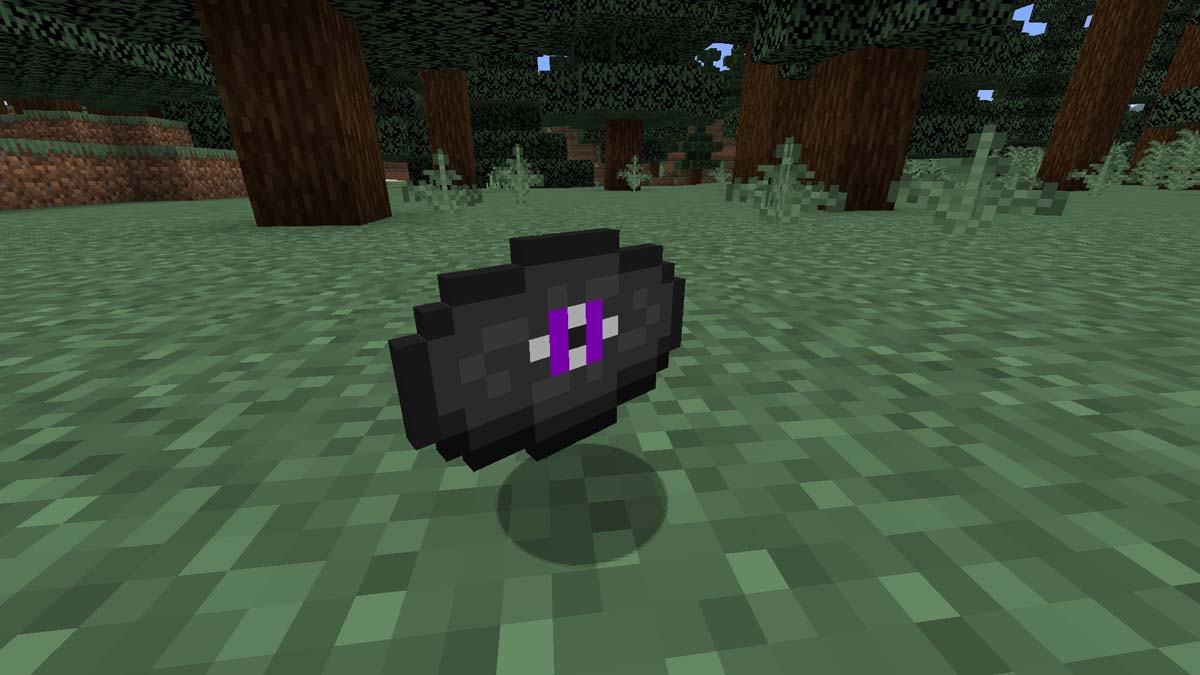 Minecraft: 10 Best Music Discs Ranked – GameSkinny