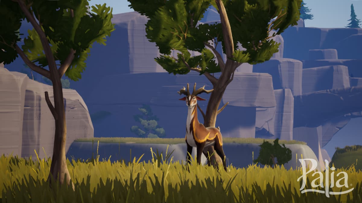 Palia Content Roadmap Revealed Ahead of Betas – GameSkinny