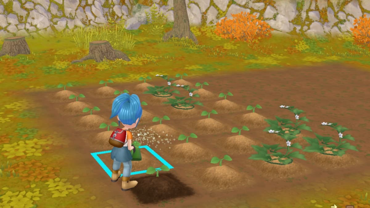 SoS: A Wonderful Life All Crops Guide – GameSkinny